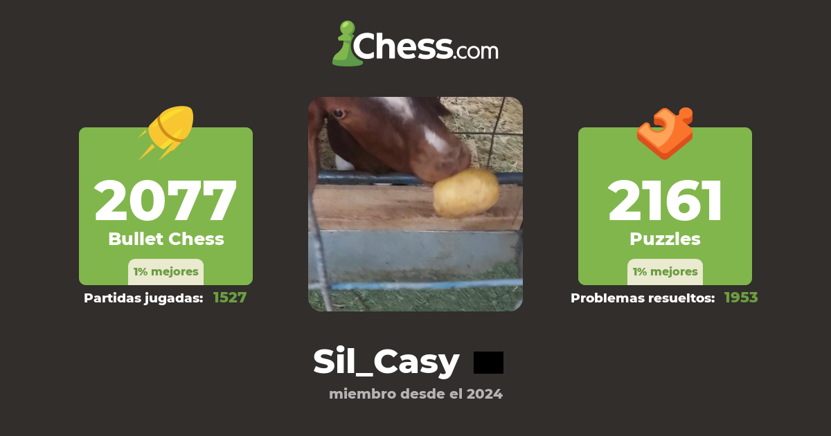 Mayte Alexandra Gardea Coronado (Sil_Casy) - Perfil de Ajedrez - Chess.com