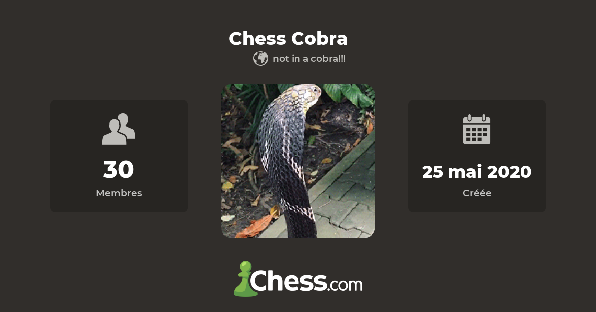 Chess Cobra - Club d'échecs - Chess.com