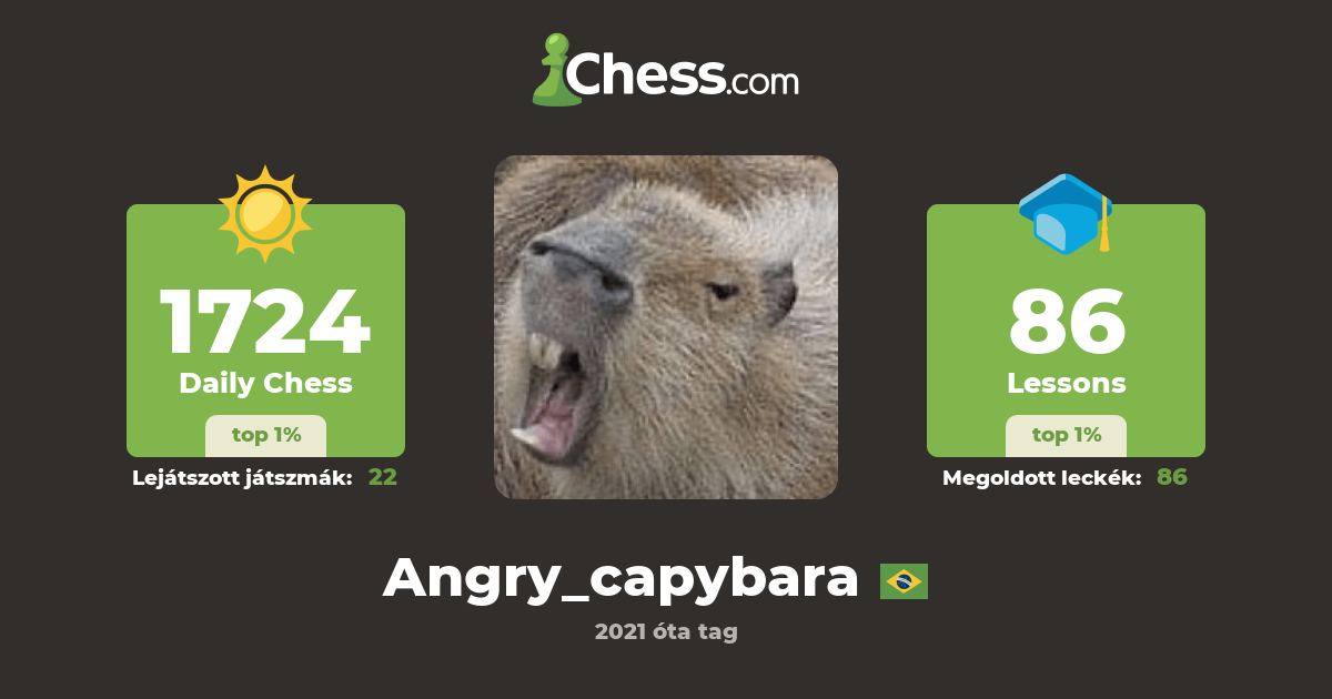 Angry_capybara - sakk profil - Chess.com