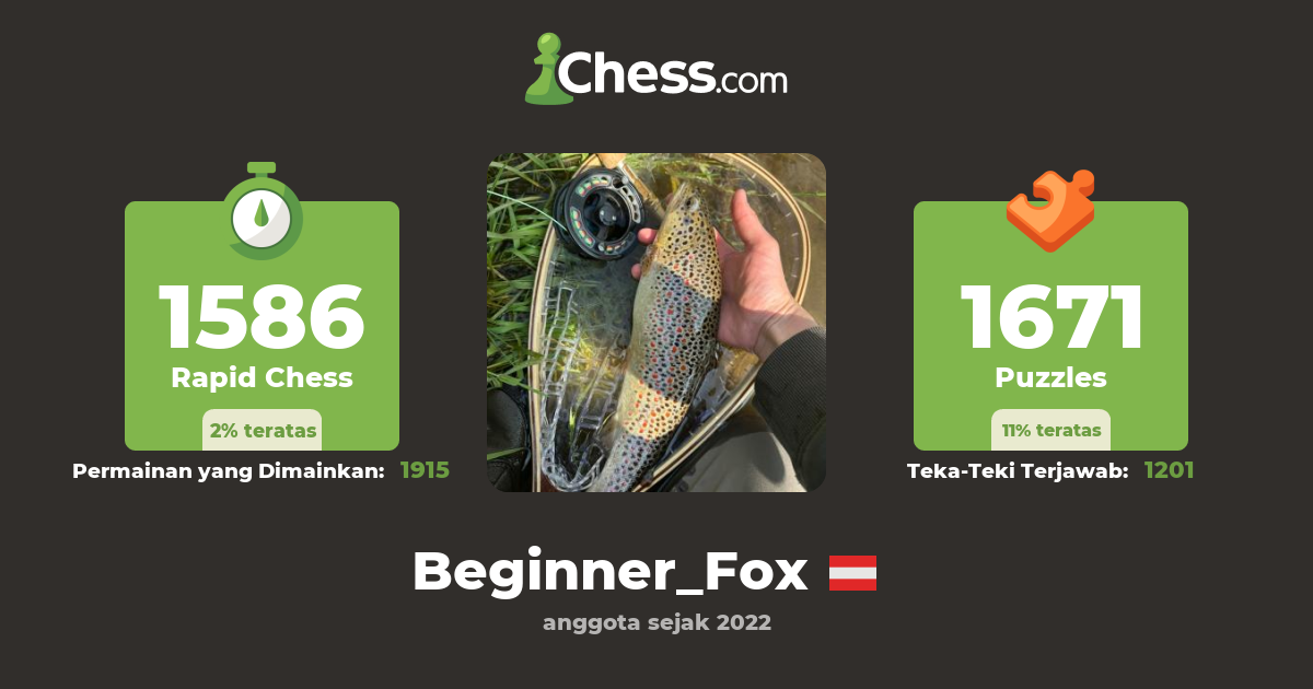 Beginner_Fox - Profil Catur - Chess.com