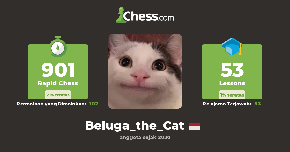 Vegan Teacher (Beluga_the_Cat) - Profil Catur - Chess.com