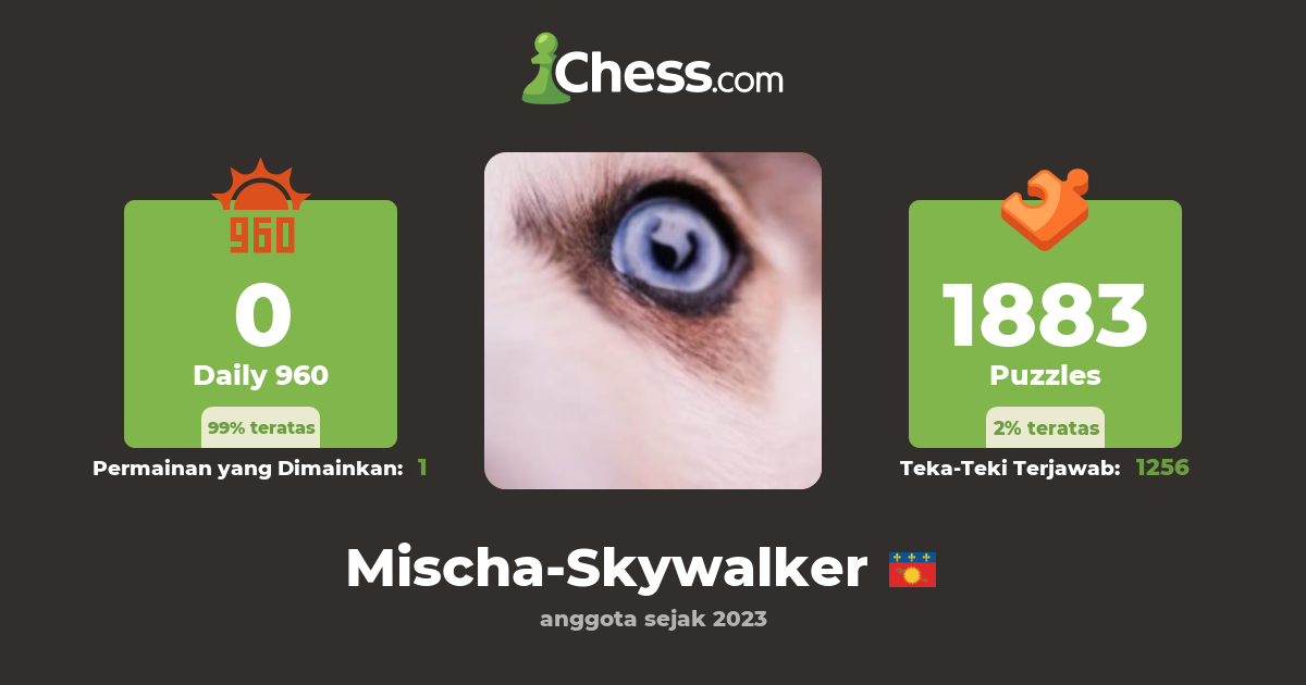 Mischa-Skywalker - Profil Catur - Chess.com
