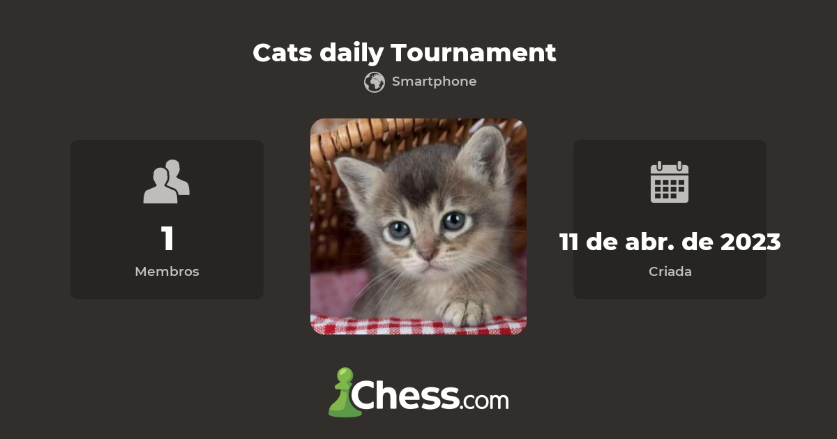 Cats daily Tournament - clube de xadrez - Chess.com