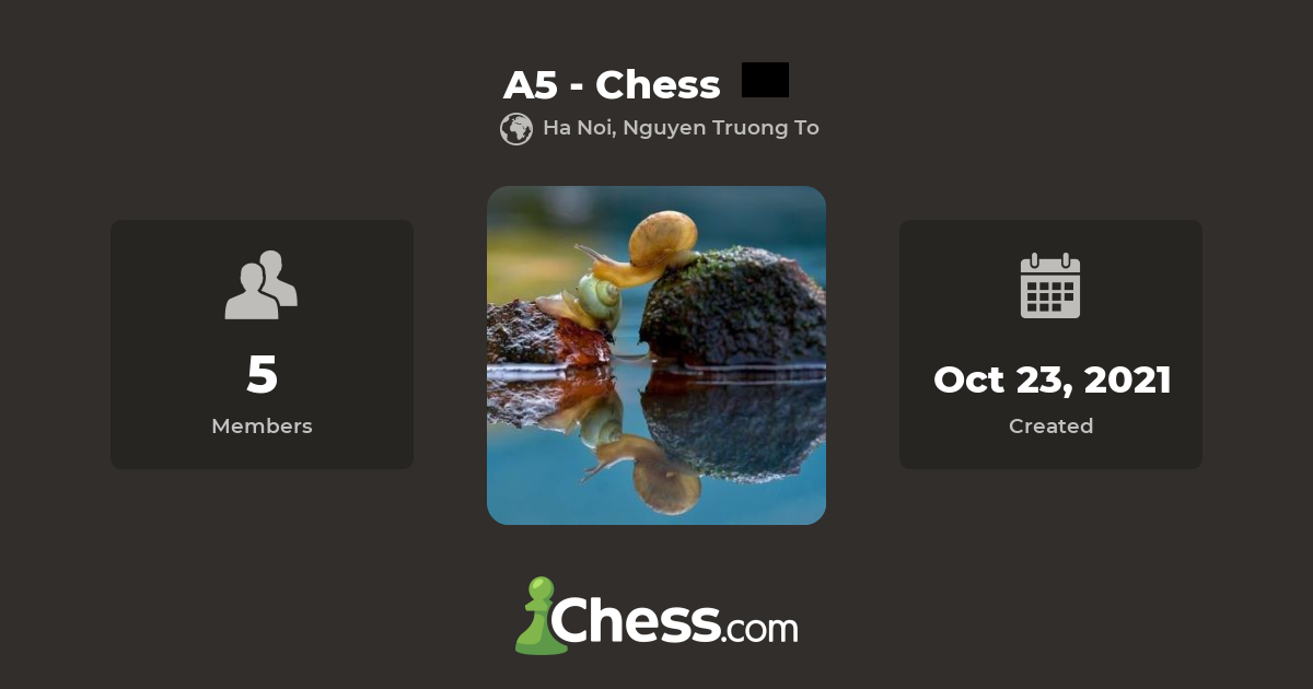 A5 - Chess - Chess Club - Chess.com