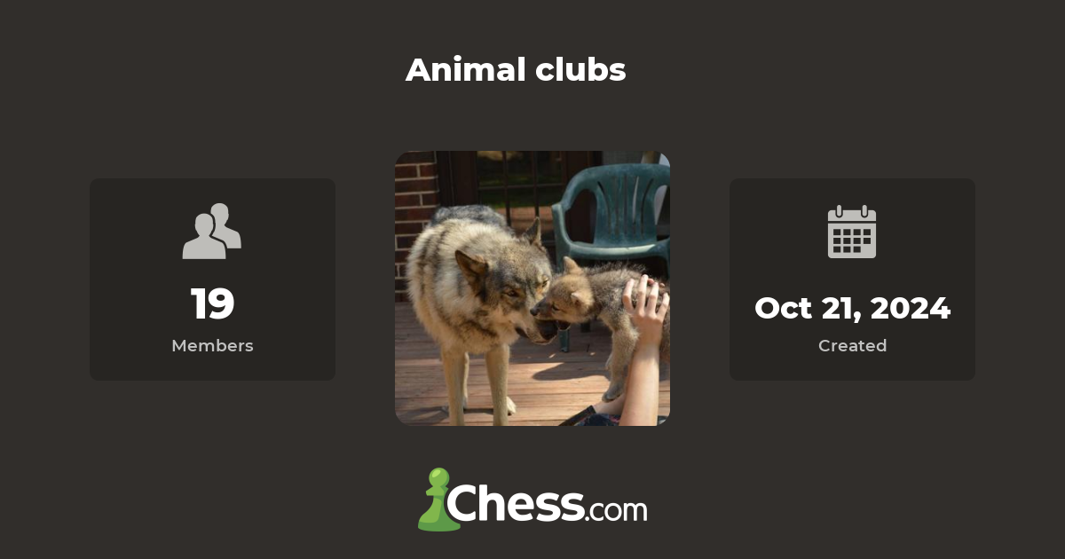 Animal clubs - Chess Club - Chess.com