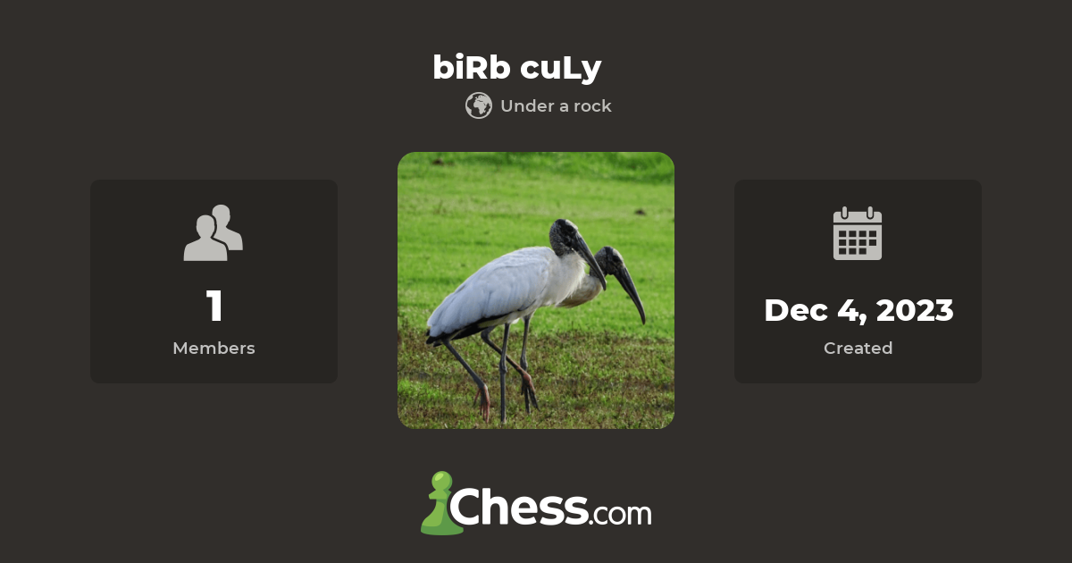 biRb cuLy - Chess Club - Chess.com