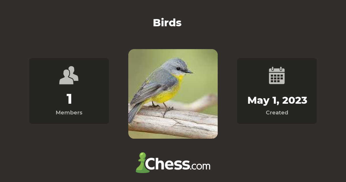Birds - Chess Club - Chess.com