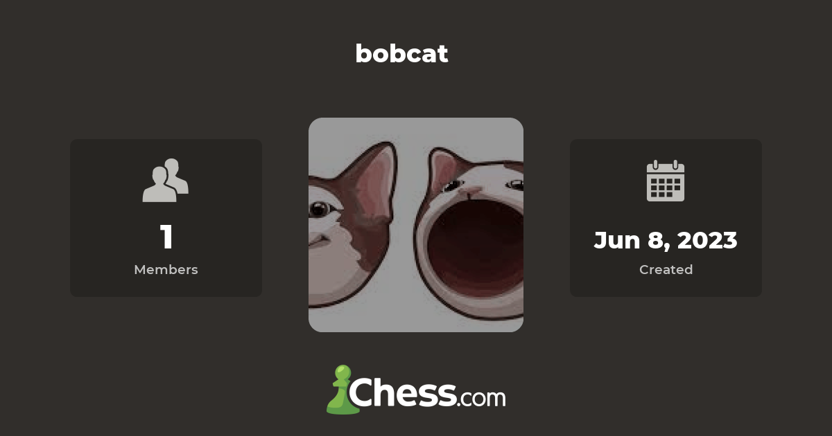 bobcat - Chess Club - Chess.com