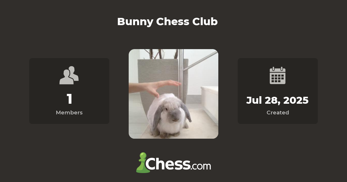 Bunny Chess Club - Chess Club - Chess.com