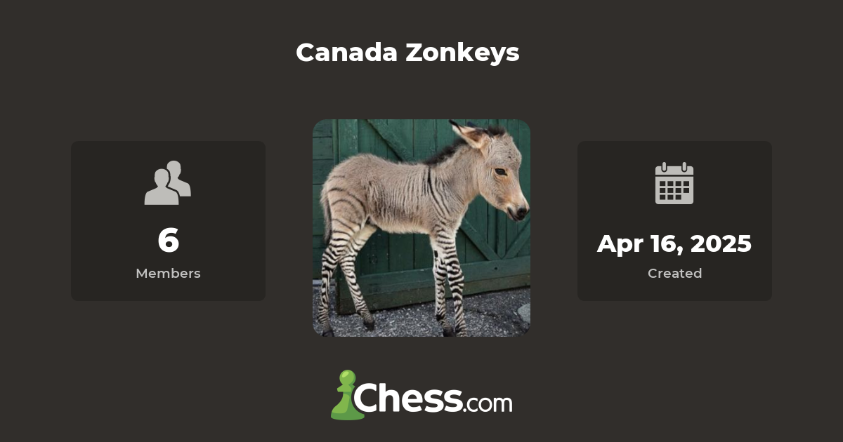 Canada Zonkeys - Chess Club - Chess.com