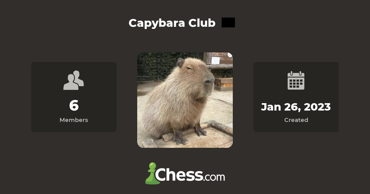 Capybara Club - Chess Club - Chess.com