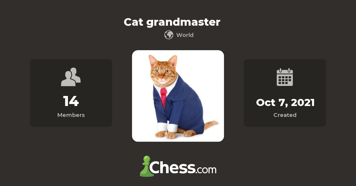 Cat grandmaster - Chess Club - Chess.com