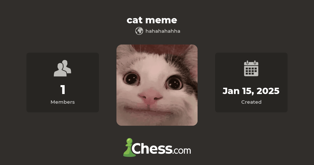 cat meme - Chess Club - Chess.com