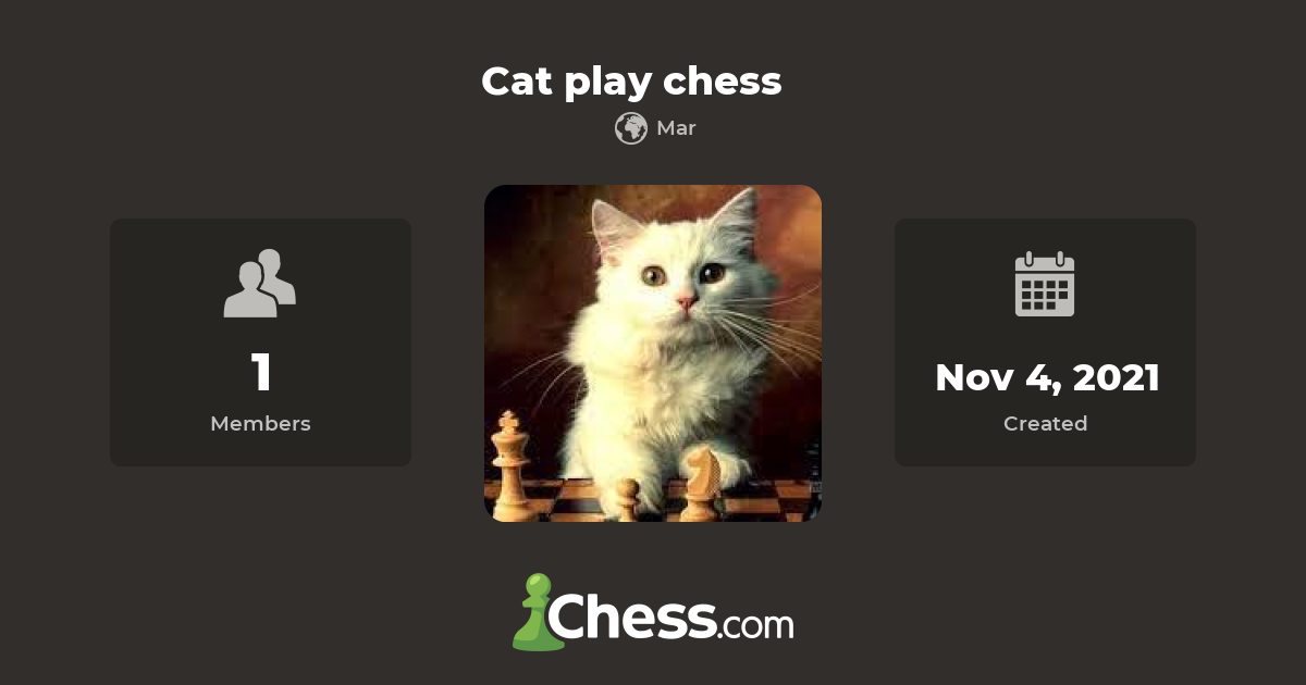 Cat play chess - Chess Club - Chess.com