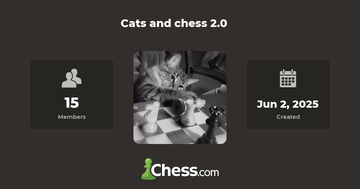 Cats and chess 2.0 - Chess Club - Chess.com