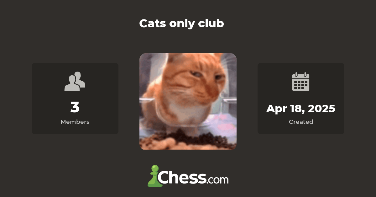 Cats only club - Chess Club - Chess.com