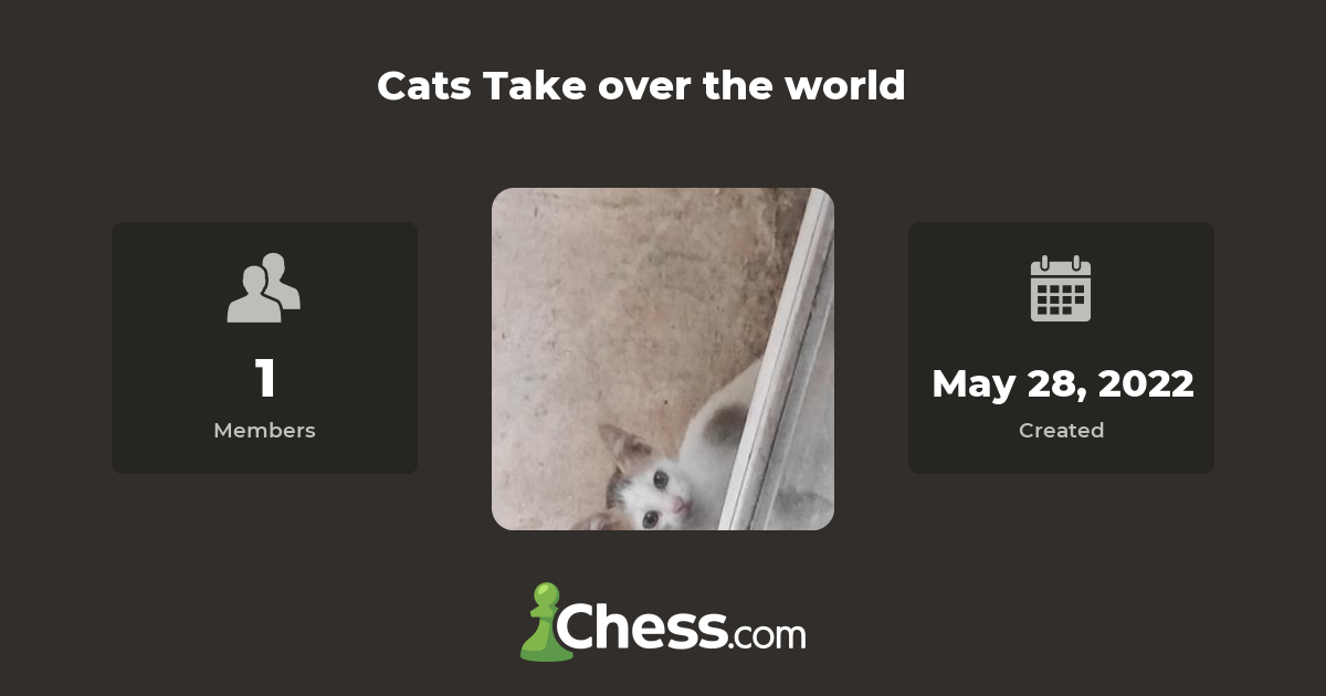 Cats Take over the world - Chess Club - Chess.com
