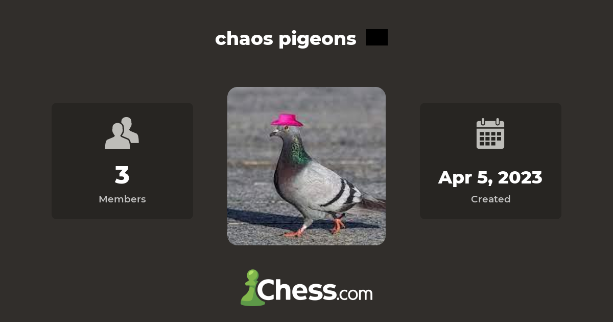 chaos pigeons - Chess Club - Chess.com
