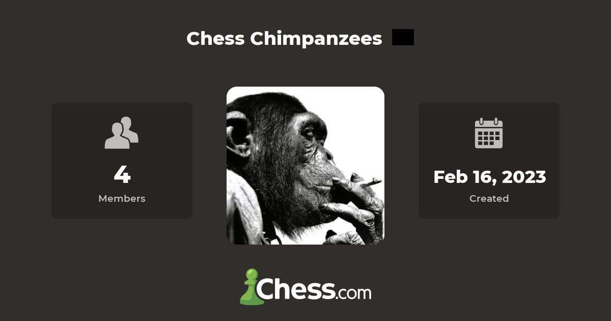 Chess Chimpanzees - Chess Club - Chess.com