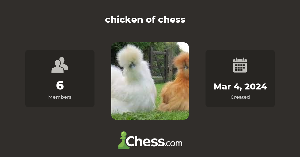 chicken of chess - Chess Club - Chess.com