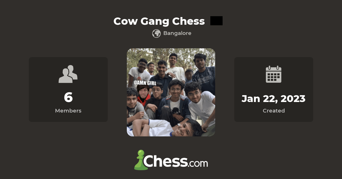 Cow Gang Chess - Chess Club - Chess.com