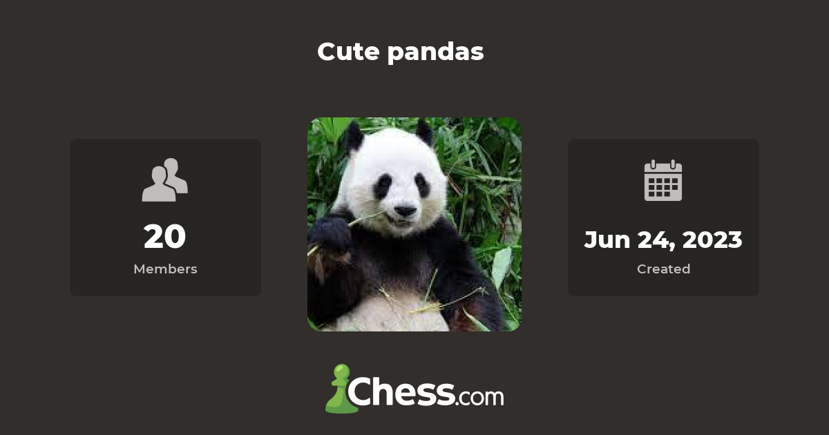 Cute pandas - Chess Club - Chess.com