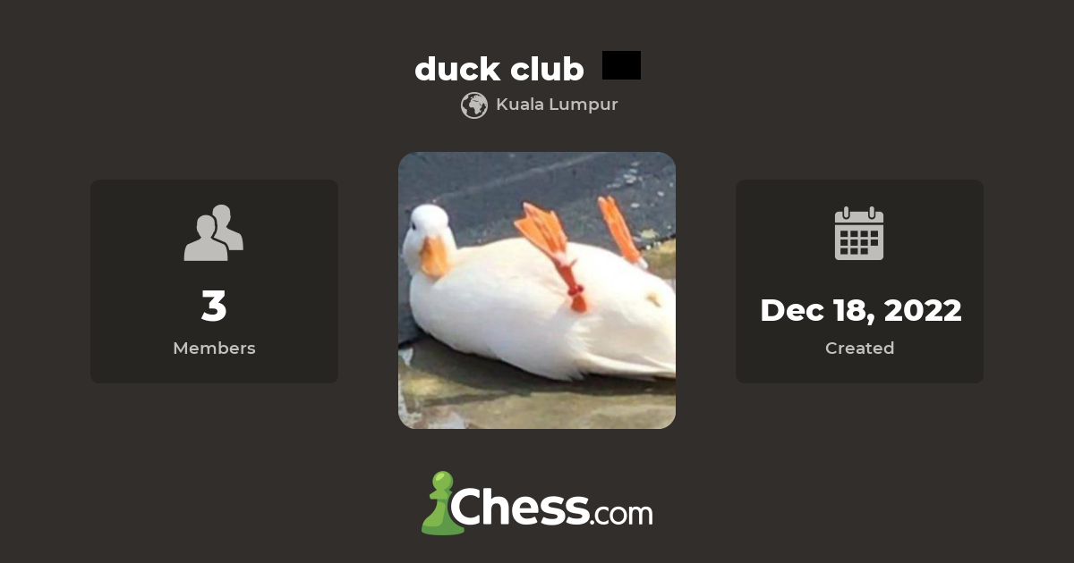 duck club - Chess Club - Chess.com