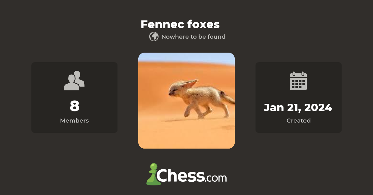 Fennec foxes - Chess Club - Chess.com