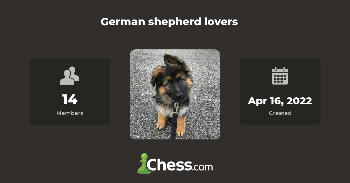 German shepherd lovers - Chess Club - Chess.com