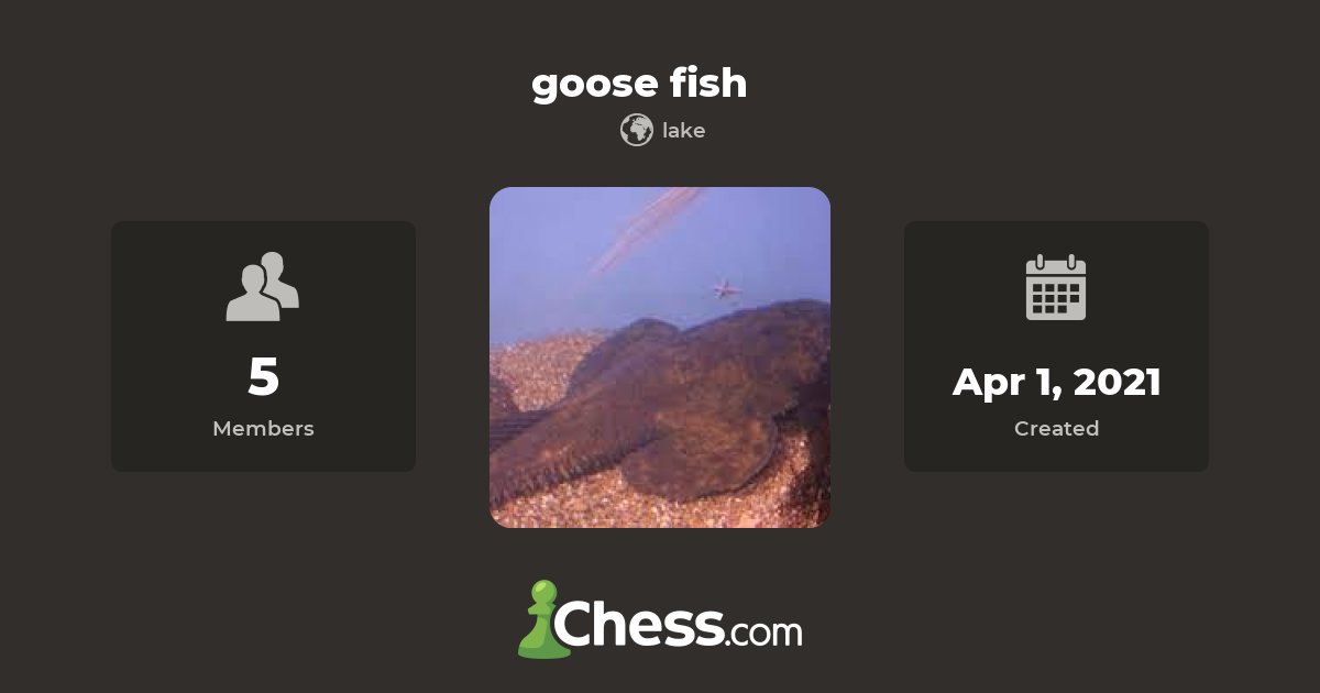 goose fish - Chess Club - Chess.com