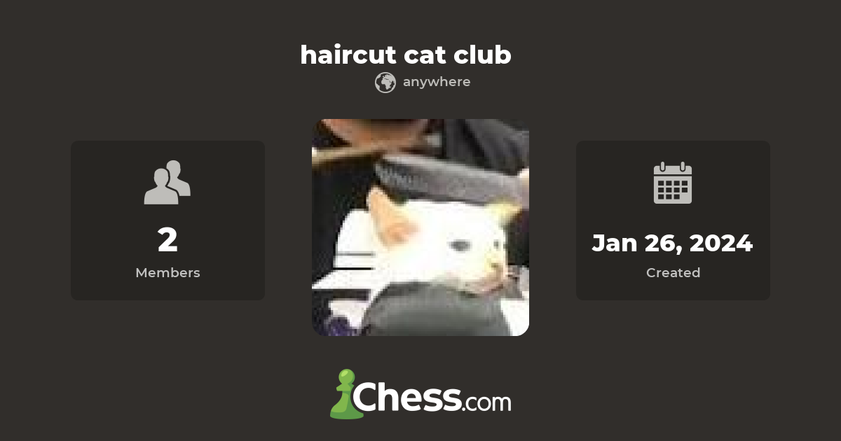 haircut cat club - Chess Club - Chess.com