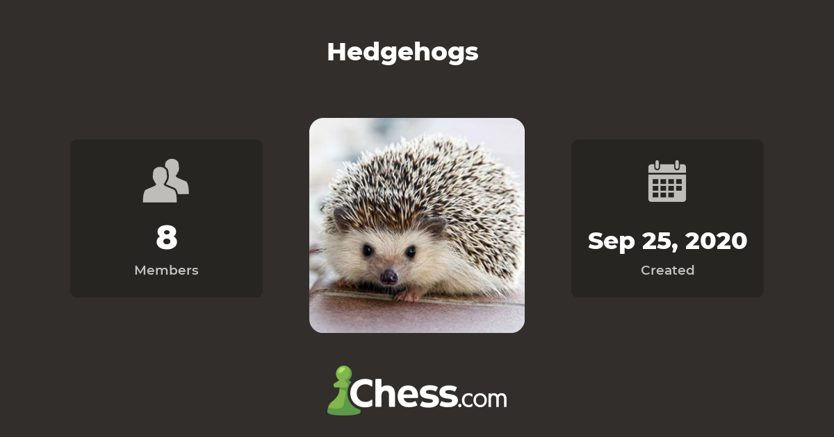 Hedgehogs - Chess Club - Chess.com