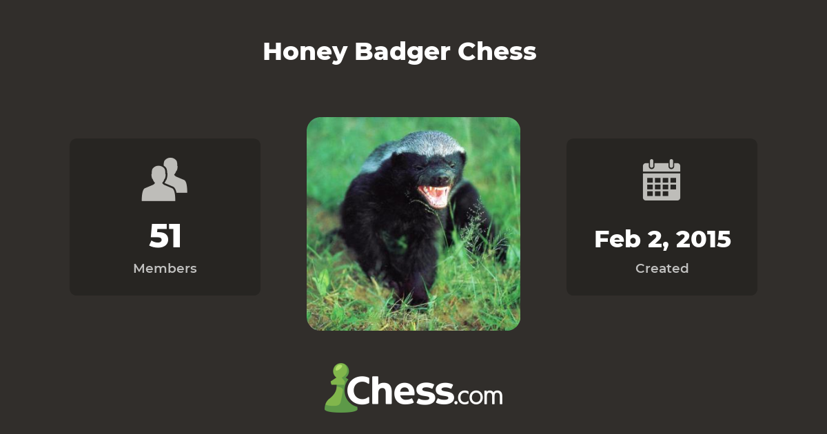 Honey Badger Chess - Chess Club - Chess.com
