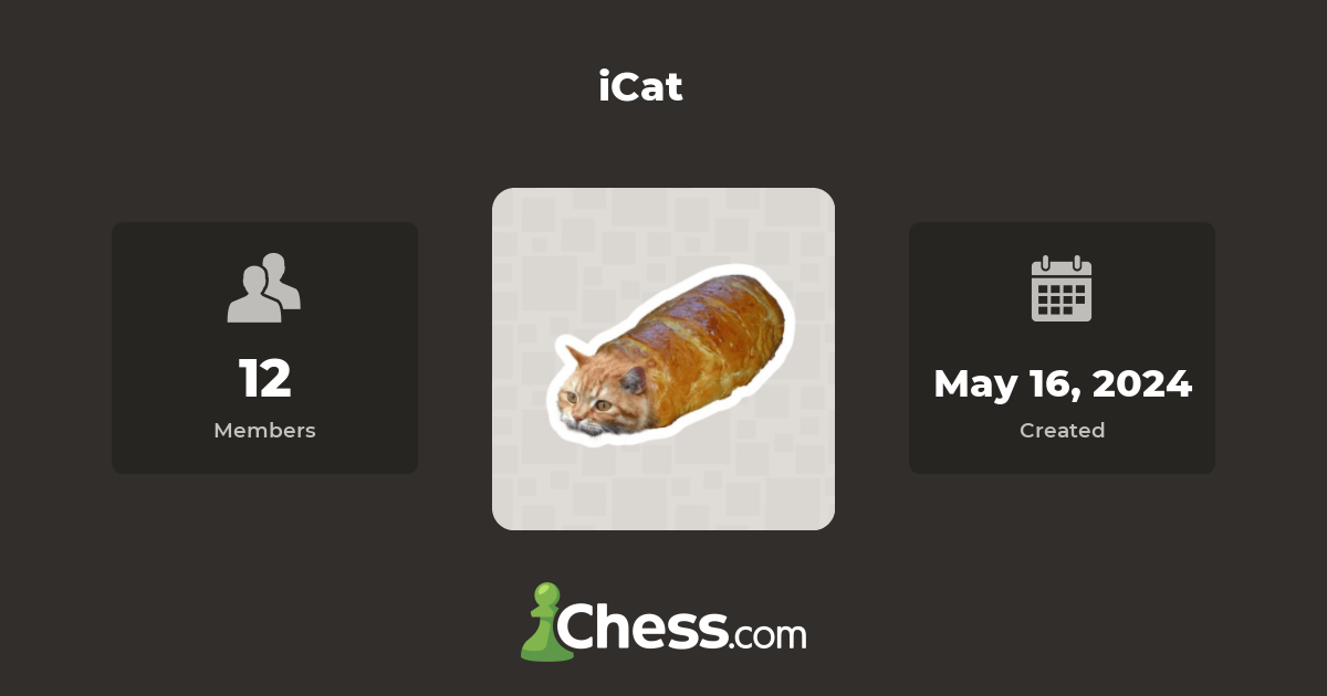 iCat - Chess Club - Chess.com