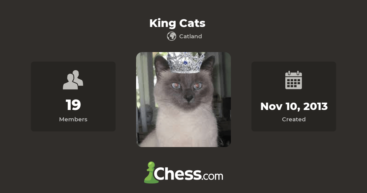 King Cats - Chess Club - Chess.com