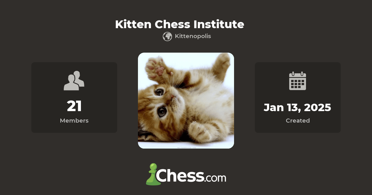 Kitten Chess Institute - Chess Club - Chess.com