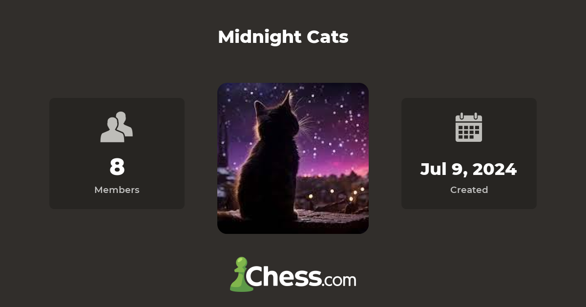 Midnight Cats - Chess Club - Chess.com