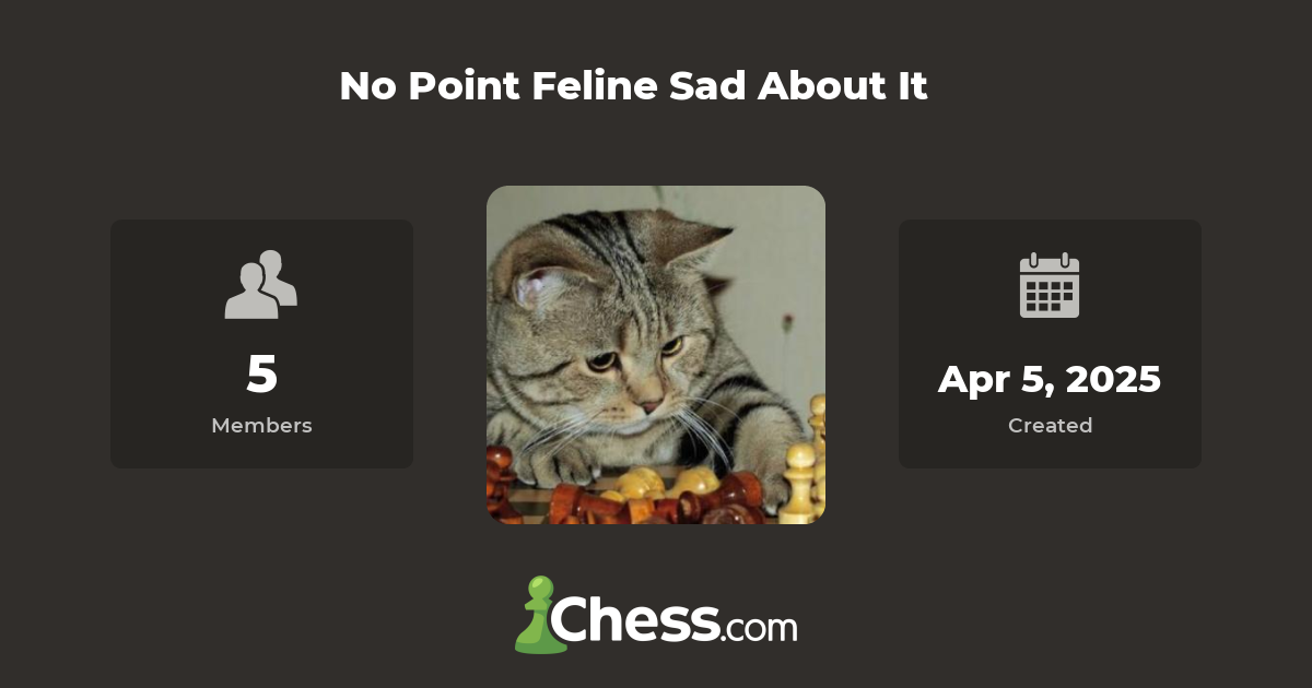 No Point Feline Sad About It - Chess Club - Chess.com