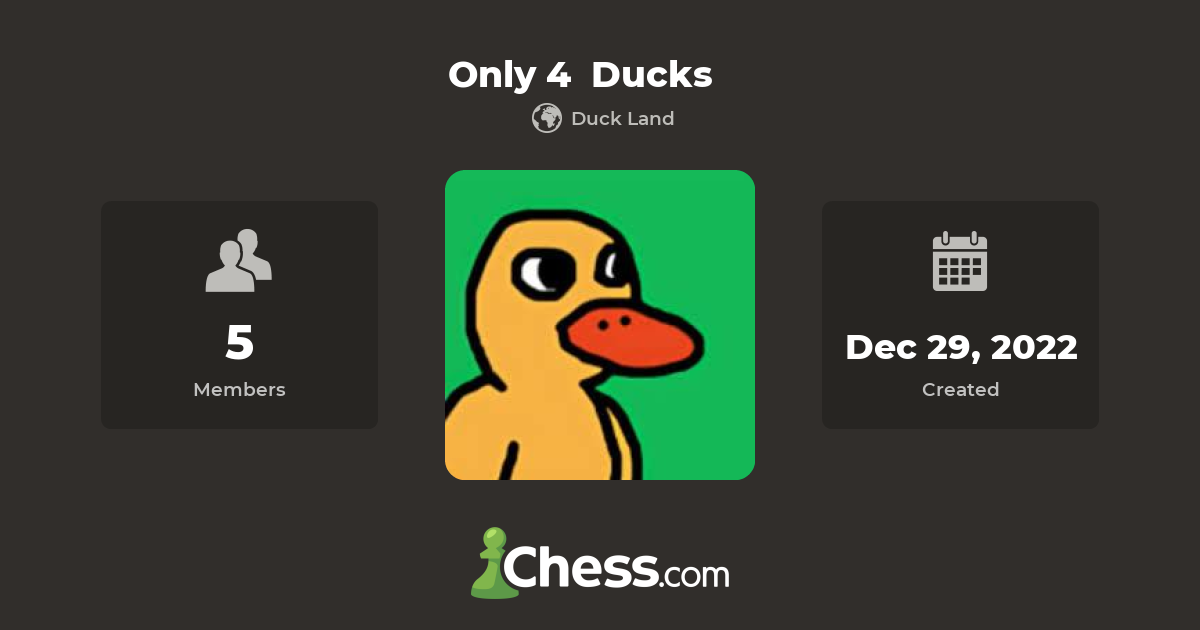 Only 4 Ducks - Chess Club - Chess.com