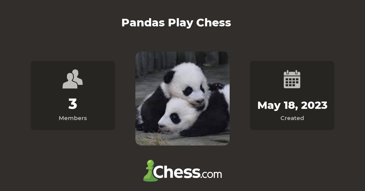 Pandas Play Chess - Chess Club - Chess.com