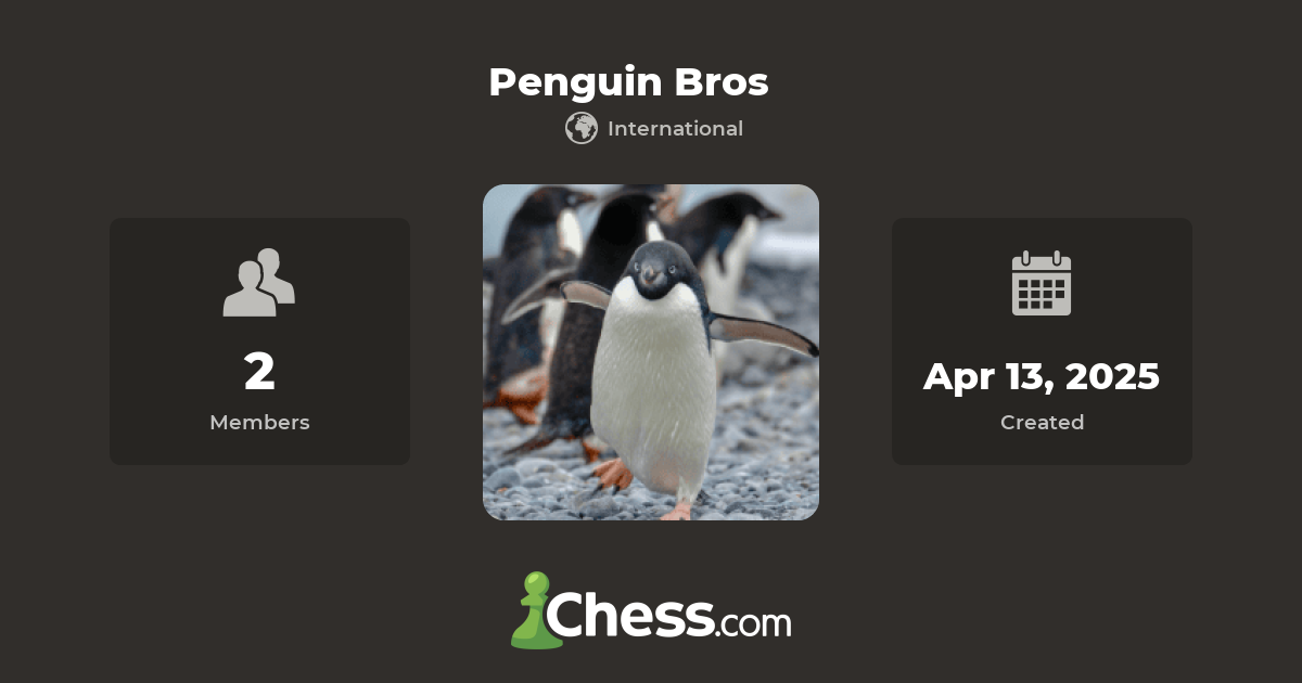 Penguin Bros - Chess Club - Chess.com