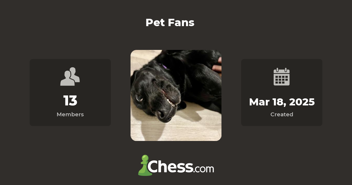 Pet Fans - Chess Club - Chess.com