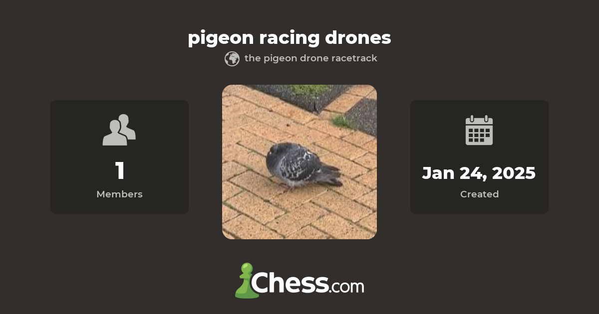 pigeon racing drones - Chess Club - Chess.com