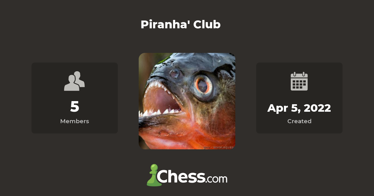 Piranha' Club - Chess Club - Chess.com