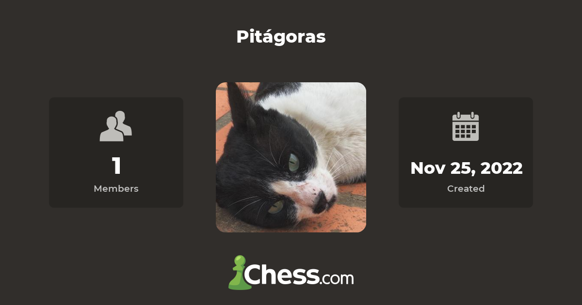 Pitágoras - Chess Club - Chess.com