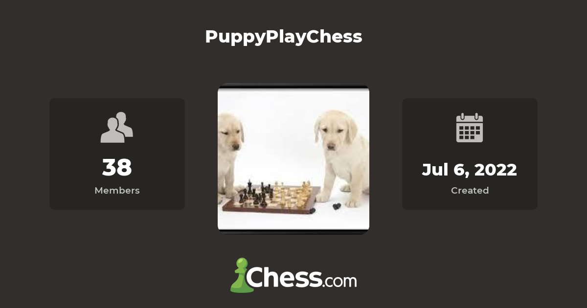 PuppyPlayChess - Chess Club - Chess.com