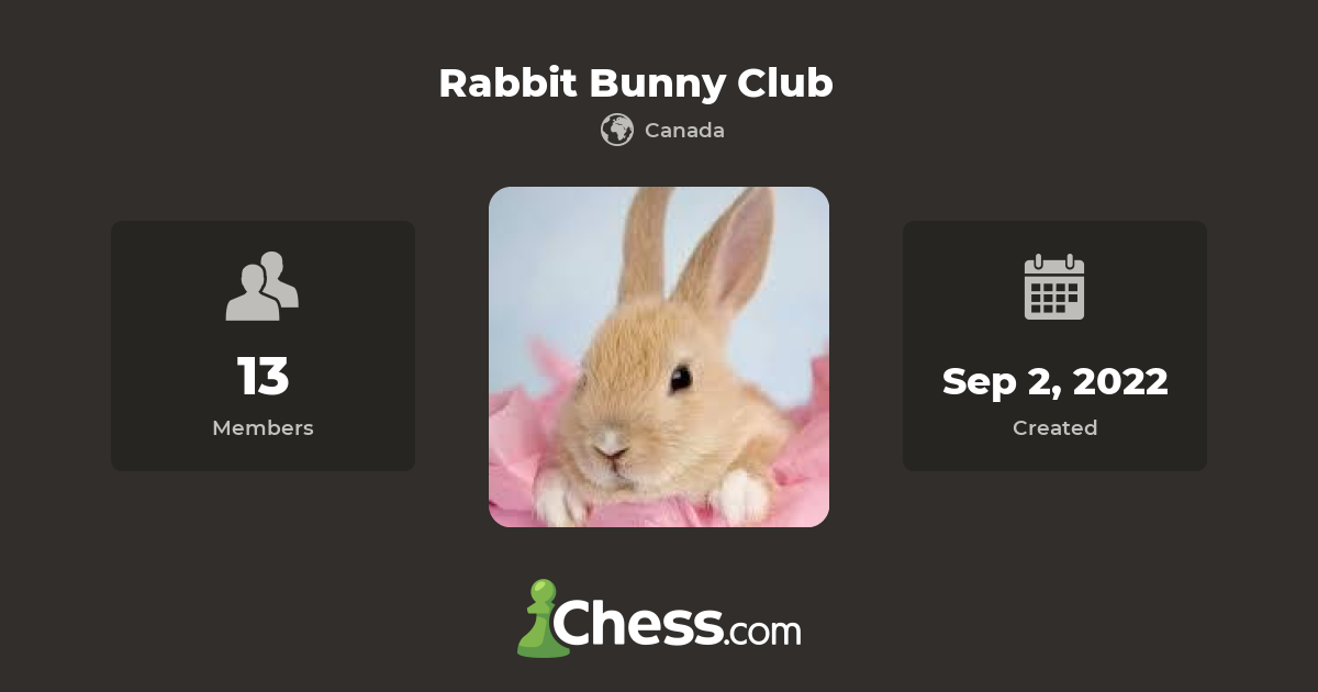 Rabbit Bunny Club - Chess Club - Chess.com