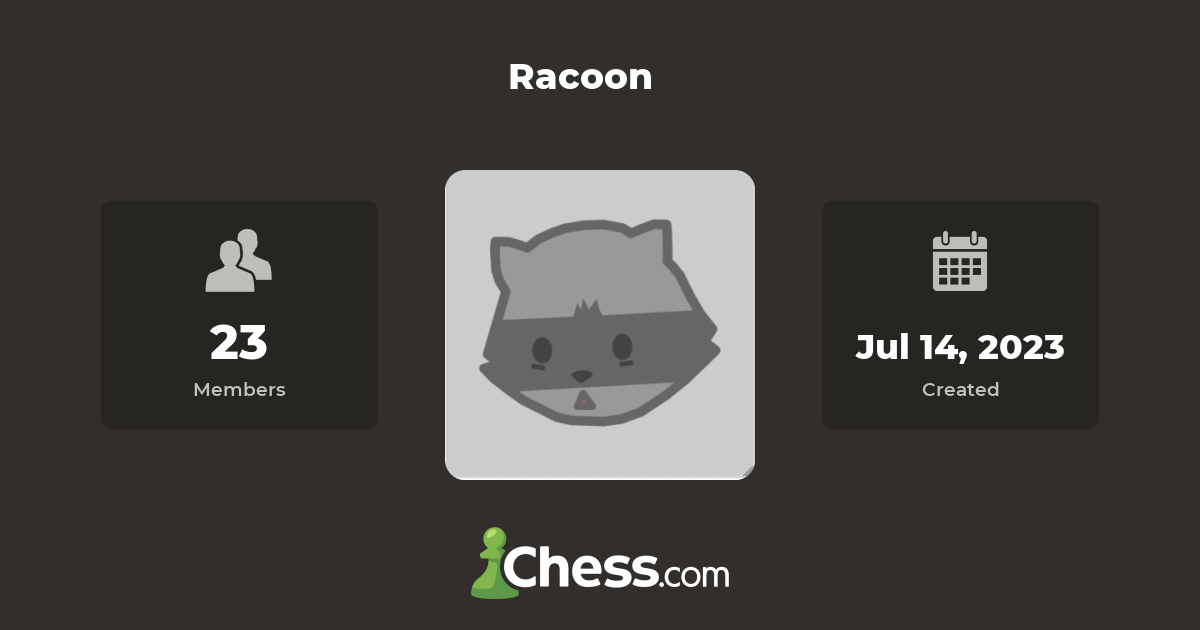 Racoon - Chess Club - Chess.com