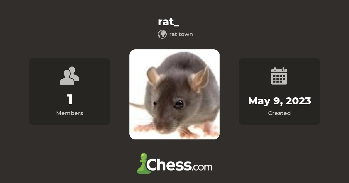 rat_ - Chess Club - Chess.com