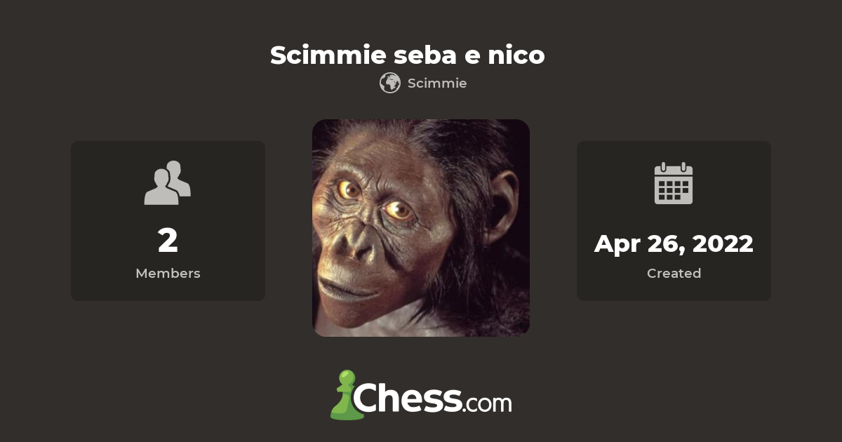 Scimmie seba e nico - Chess Club - Chess.com